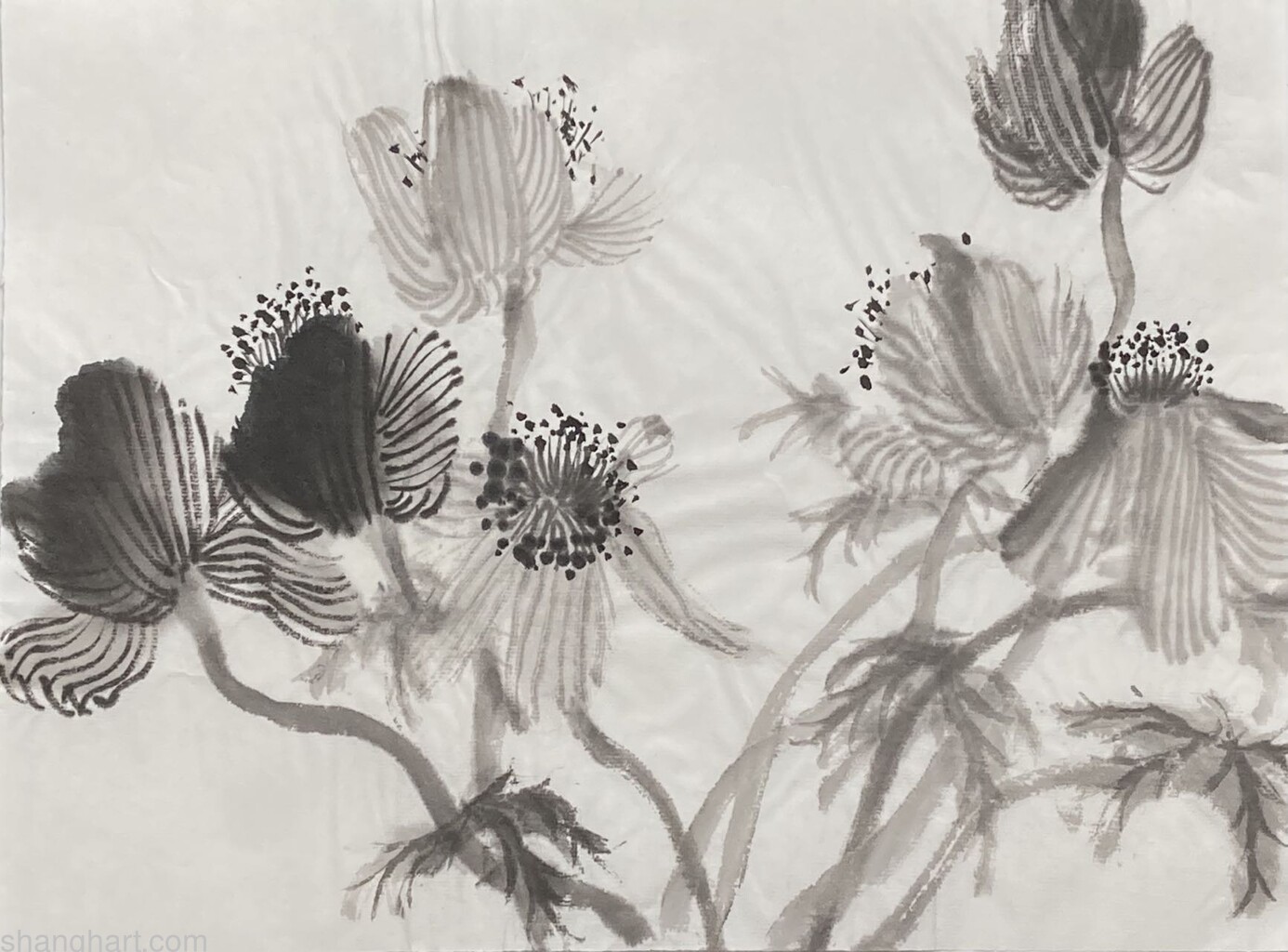 WU Yiming Flowers - Sketch 02